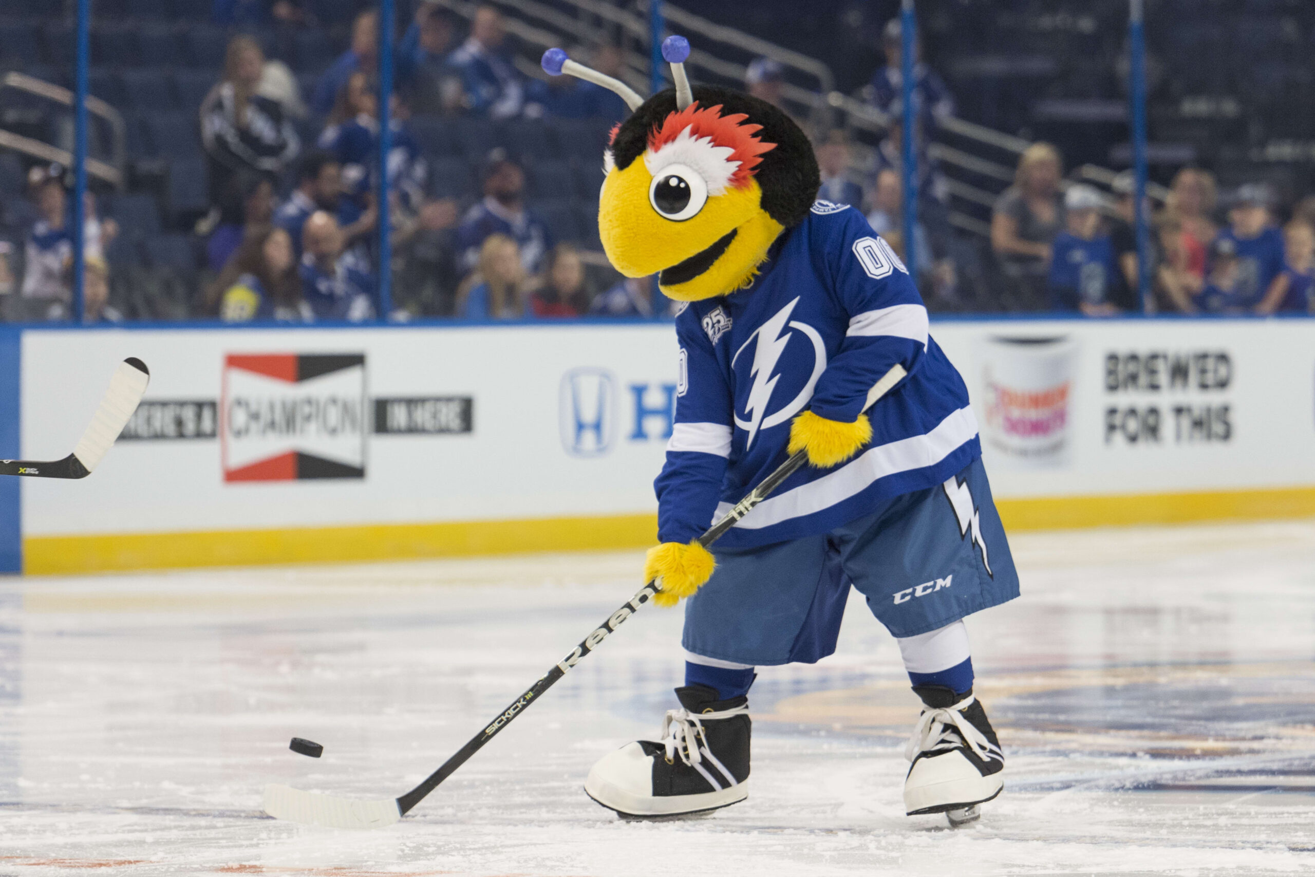 ThunderBug: Everything You Need to Know About Tampa Bay Lightning's ...